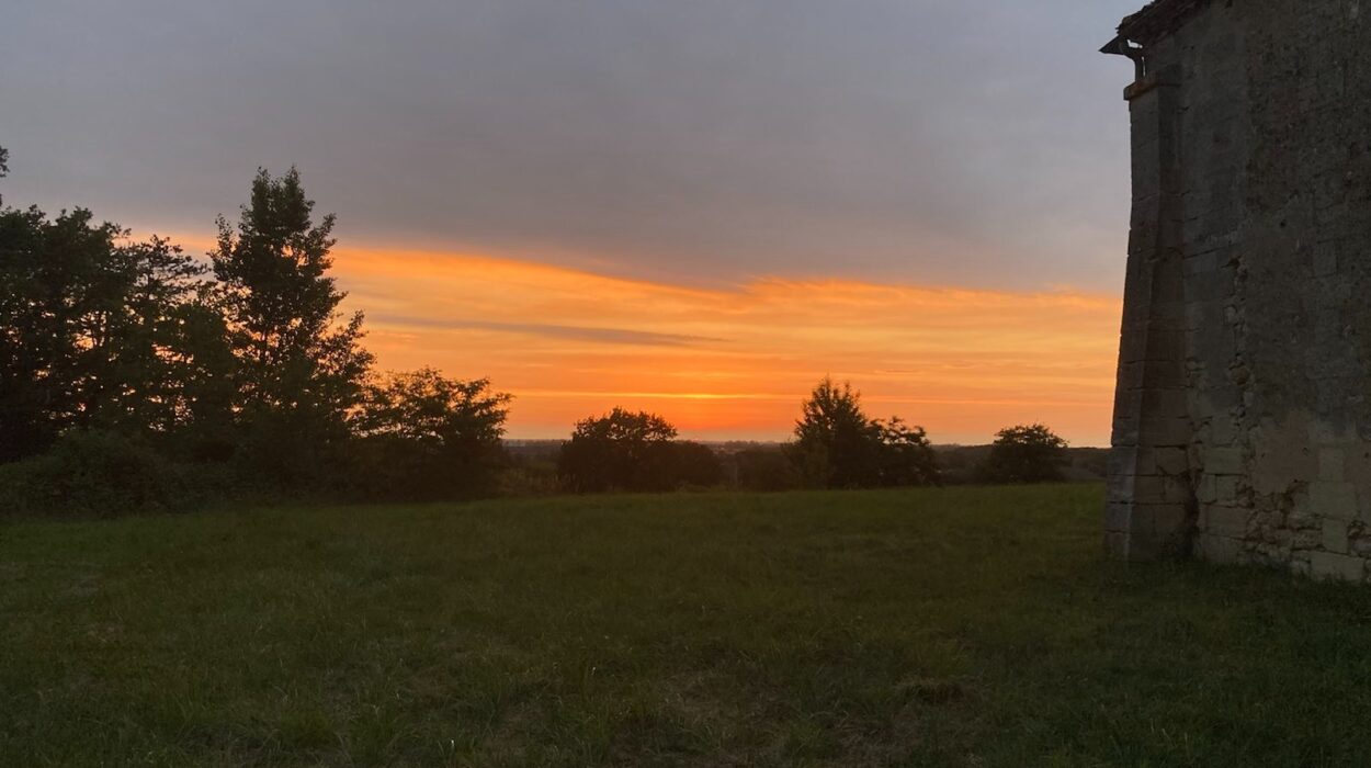 Bienvenue - Château Formont